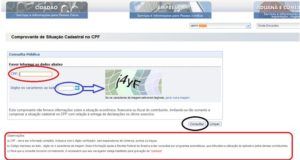 Consulta CPF | situação cadastral, receita federal, pesquisar, buscar CPF